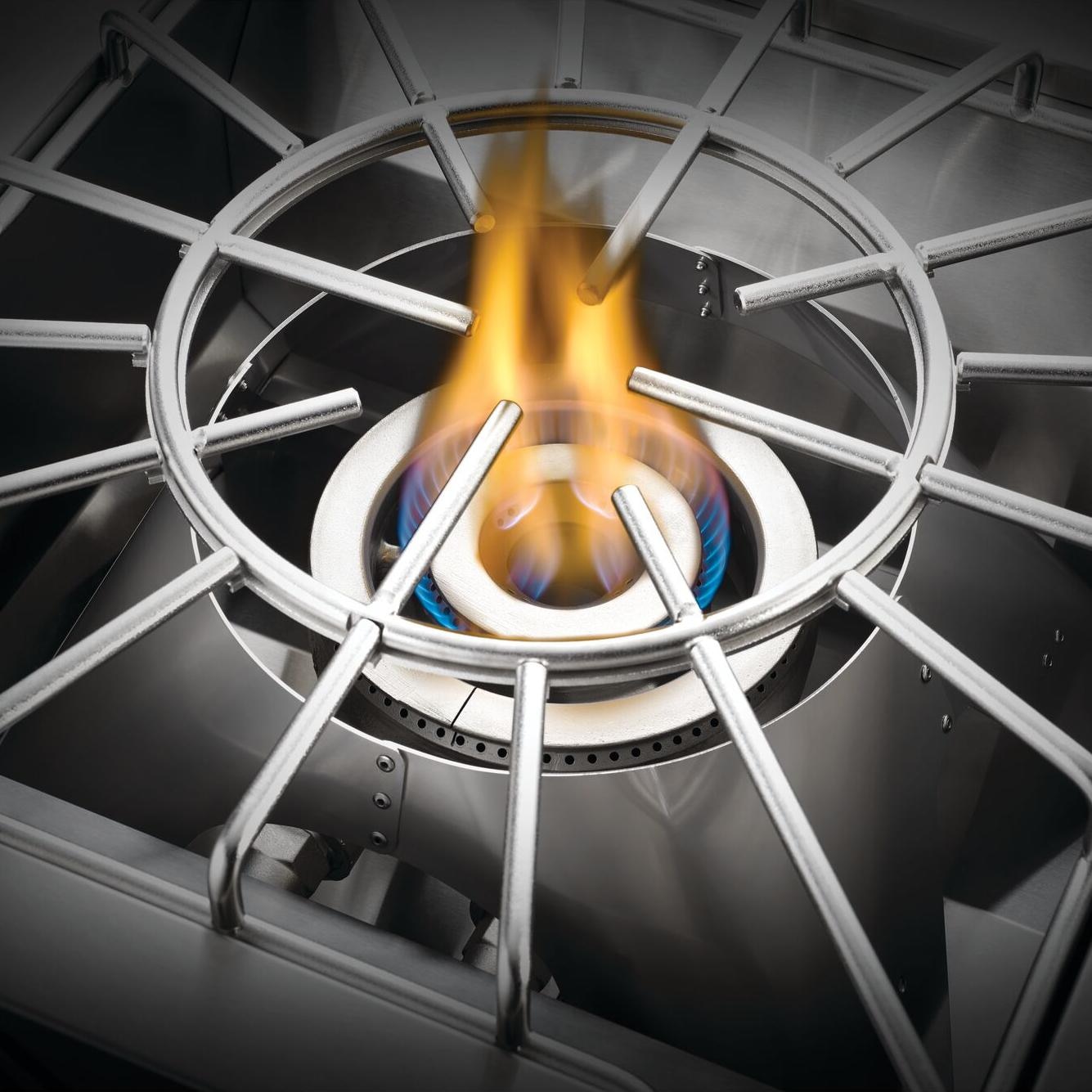 Napoleon Built-In 700 Series Natural Gas Power Burner - BIB18PBNSS ...