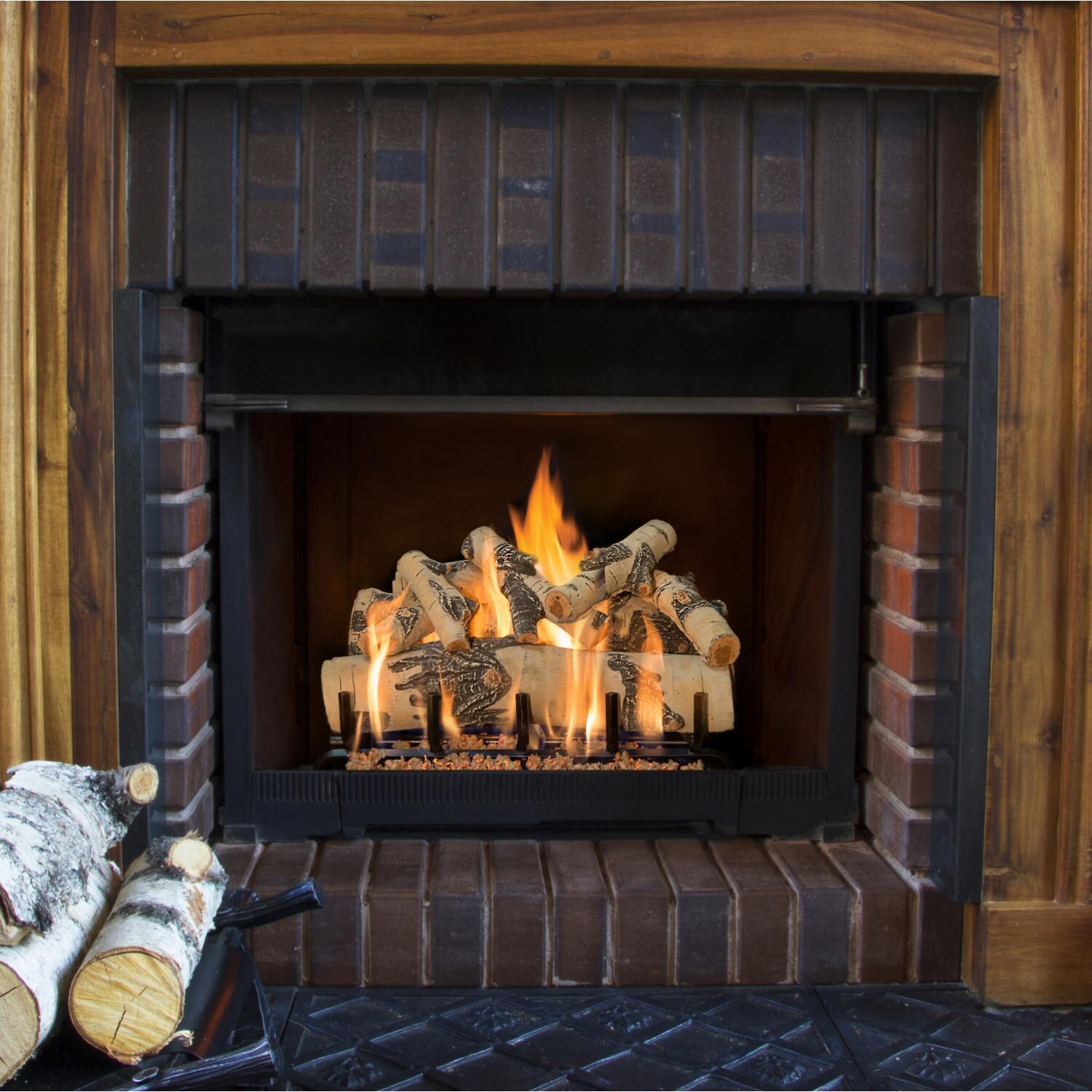 Grand Canyon 18-Inch Quaking Aspen Vented Propane Log Set W/ 2 BRN ...