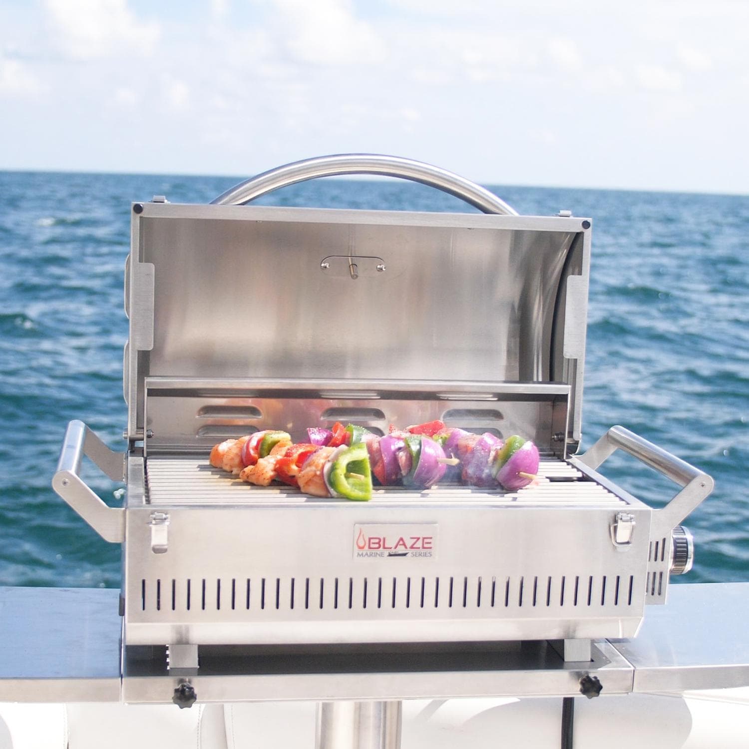 Blaze Professional LUX Marine Grade Portable Propane Gas Grill On ...