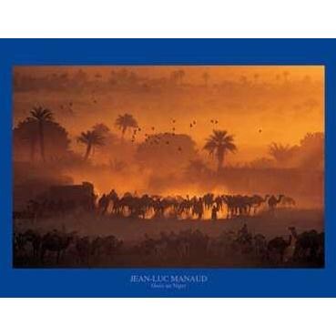 Luc Manaud - Fachi Oasis, Niger Poster Print : BBQGuys