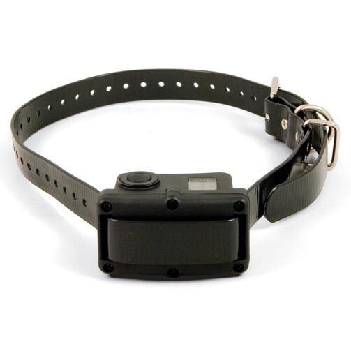 SportDog SBC-10R Rechargeable Bark Control Training Collar : BBQGuys