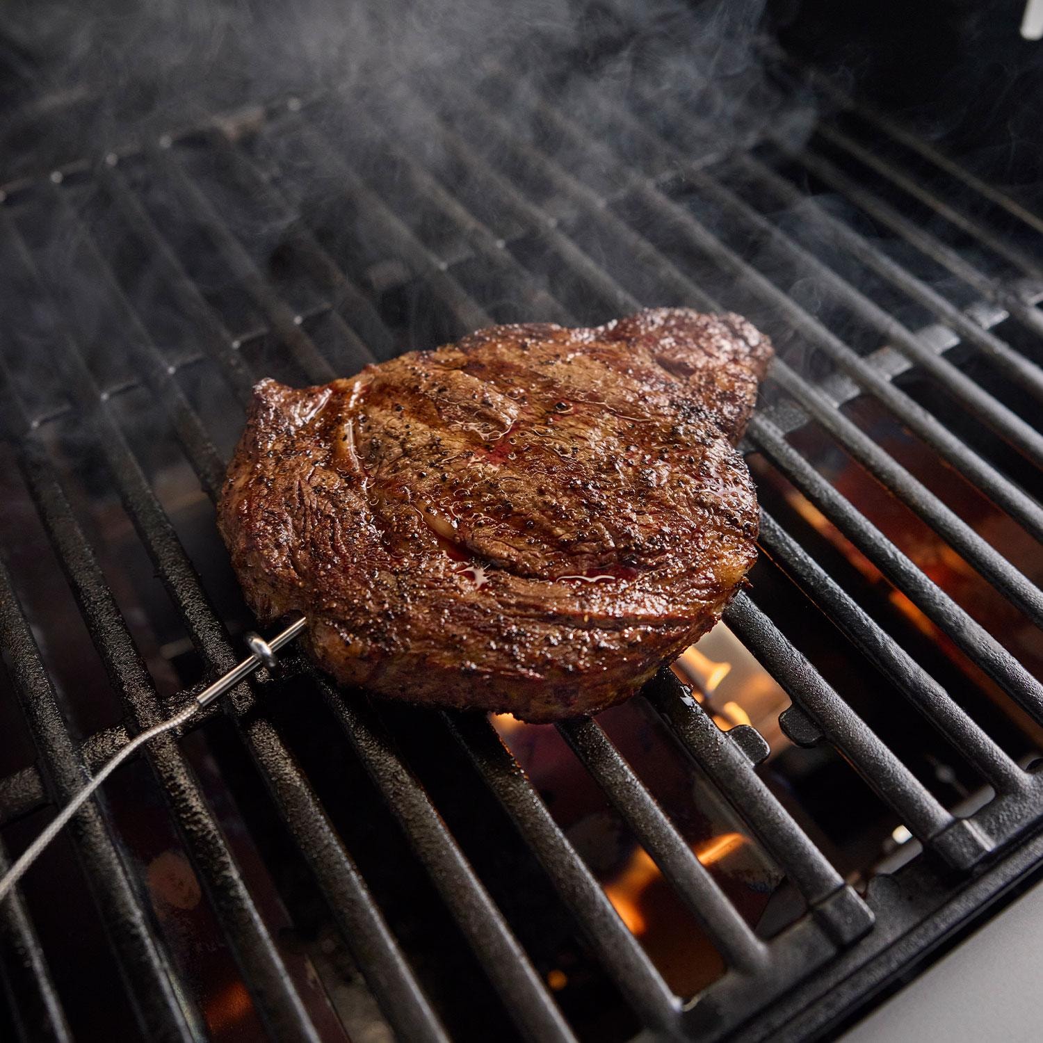 Weber 3400321 Premium Wired Food Probe Thermometer : BBQGuys