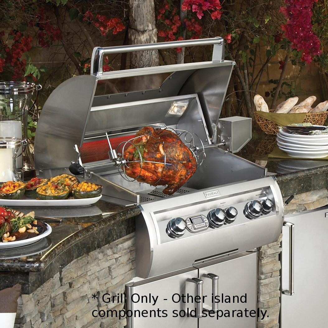 Fire Magic Echelon Diamond E660i 30-Inch Built-In All Infrared Propane ...